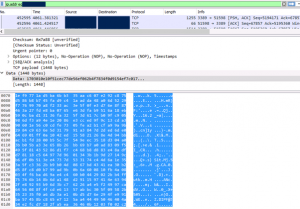 Hail Hydra – RDP brute forcing with HYDRA – PwnDefend